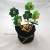 Pot of Gold Shamrock Bouquet