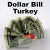 Dollar Bill Turkey