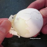 An Easy Way to Peel a Boiled Egg