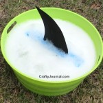 Shark Attack!